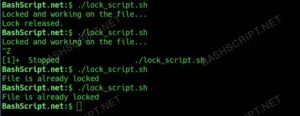 How To Lock File Bash Script Example – BashScript.net