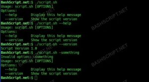 How to Write a Bash Script with Help and Usage Examples – BashScript.net